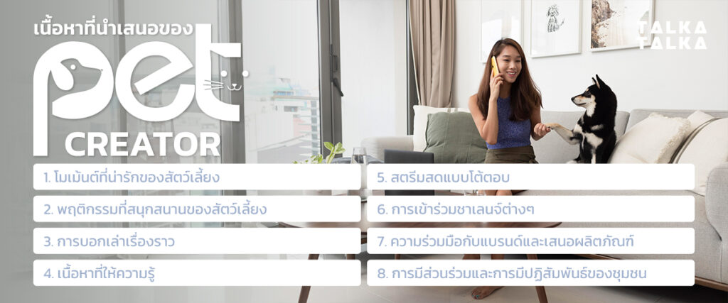 Pet Creator จับ สัตว์เลี้ยง มาทำคอนเทนต์ อีกหนึ่งอาชีพสร้างรายได้! | TalkaTalka