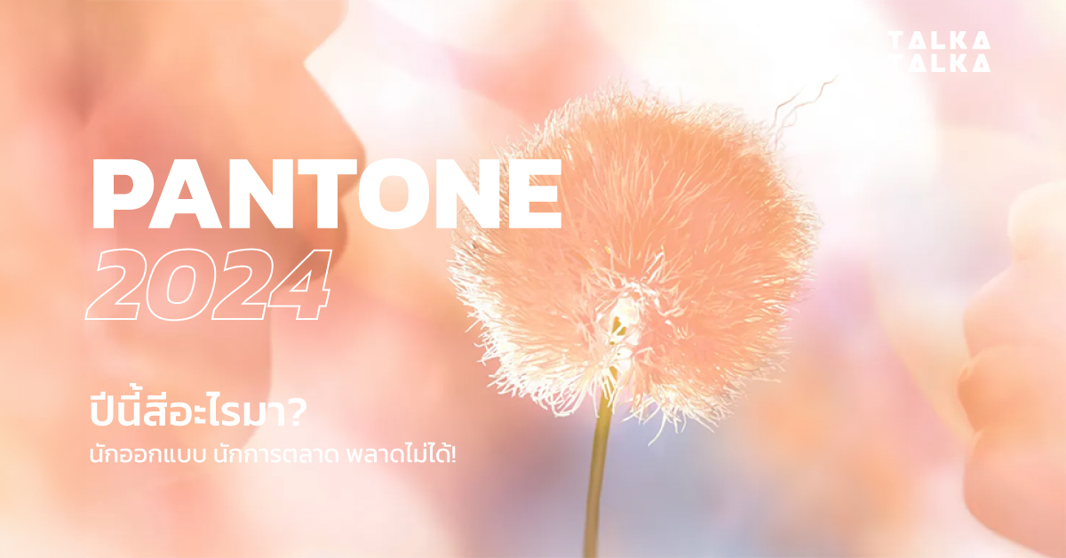Pantone 2024 ปีนี้สีอะไรมา? นักออกแบบ นักการตลาด พลาดไม่ได้! | TalkaTalka